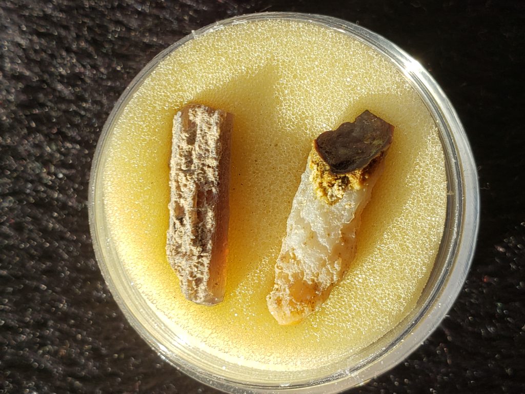 Rough Limb Opals Cast | Potch - Virgin Valley Precious Opals and Jewelry