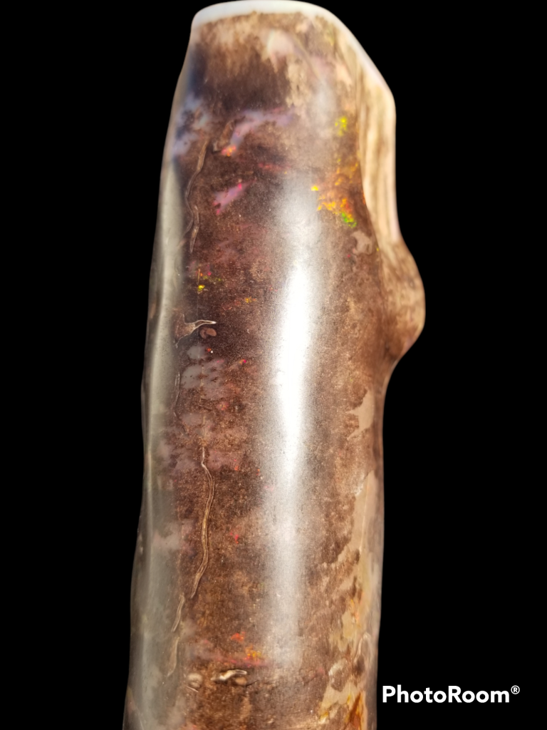 Woodopal Specimen "The Sword Handle" - Virgin Valley Precious Opals and ...