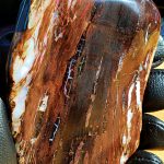 Wood Opals Archives - Virgin Valley Precious Opals and Jewelry